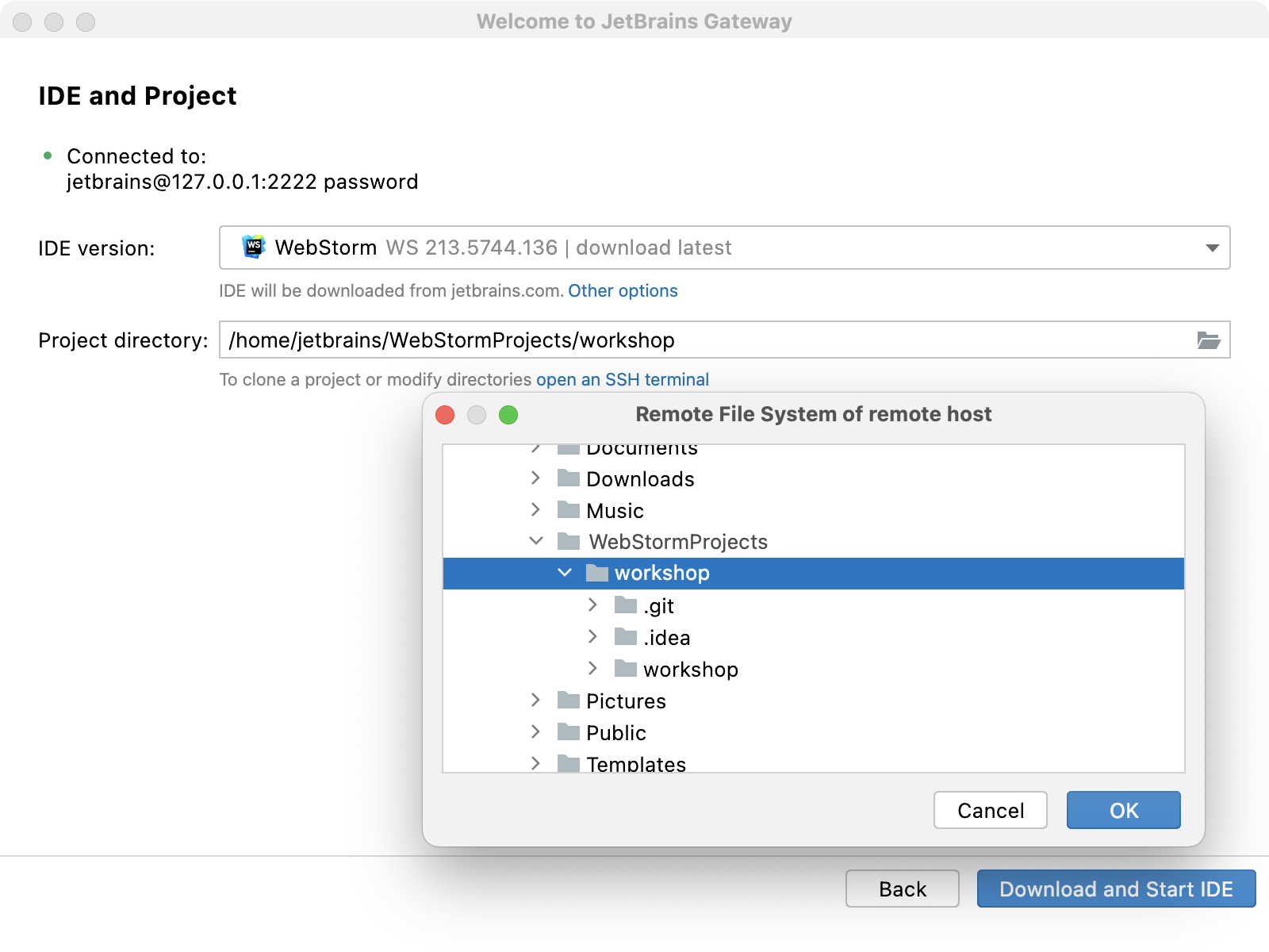 连接并使用 JetBrains Gateway | WebStorm 文档