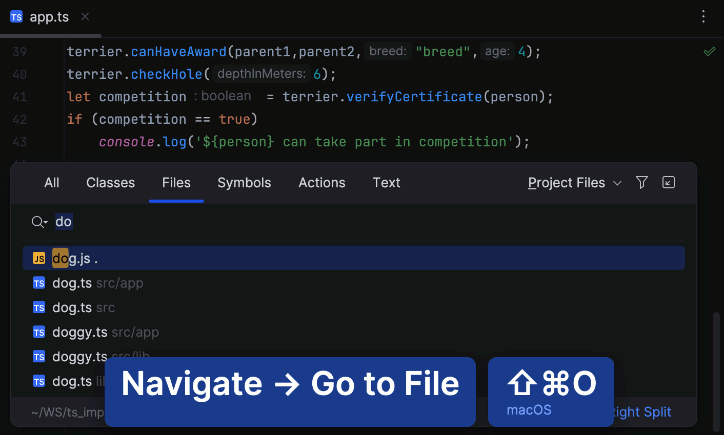 Presentation Assistant | WebStorm Documentation