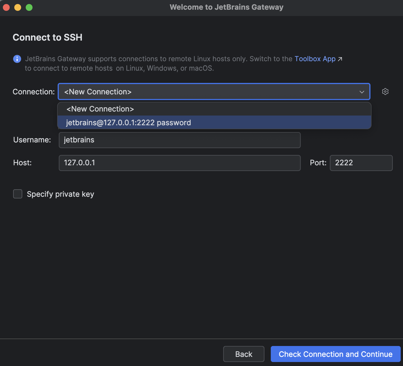 连接并使用 JetBrains Gateway | WebStorm 文档