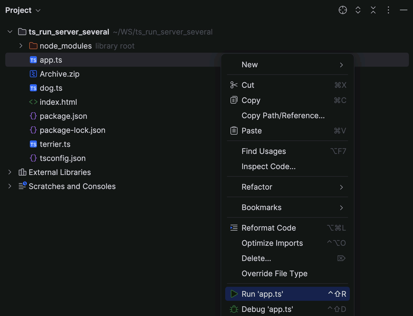 运行和调试 Typescript Intellij Idea 文档
