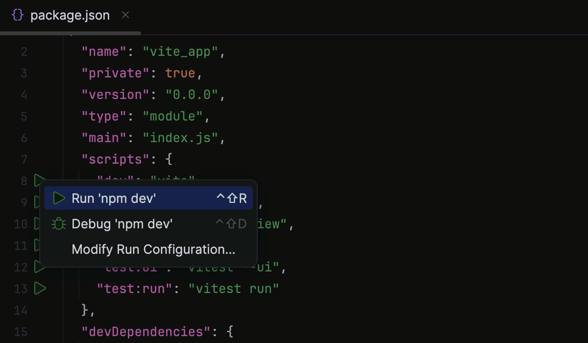 Vite Clion Documentation