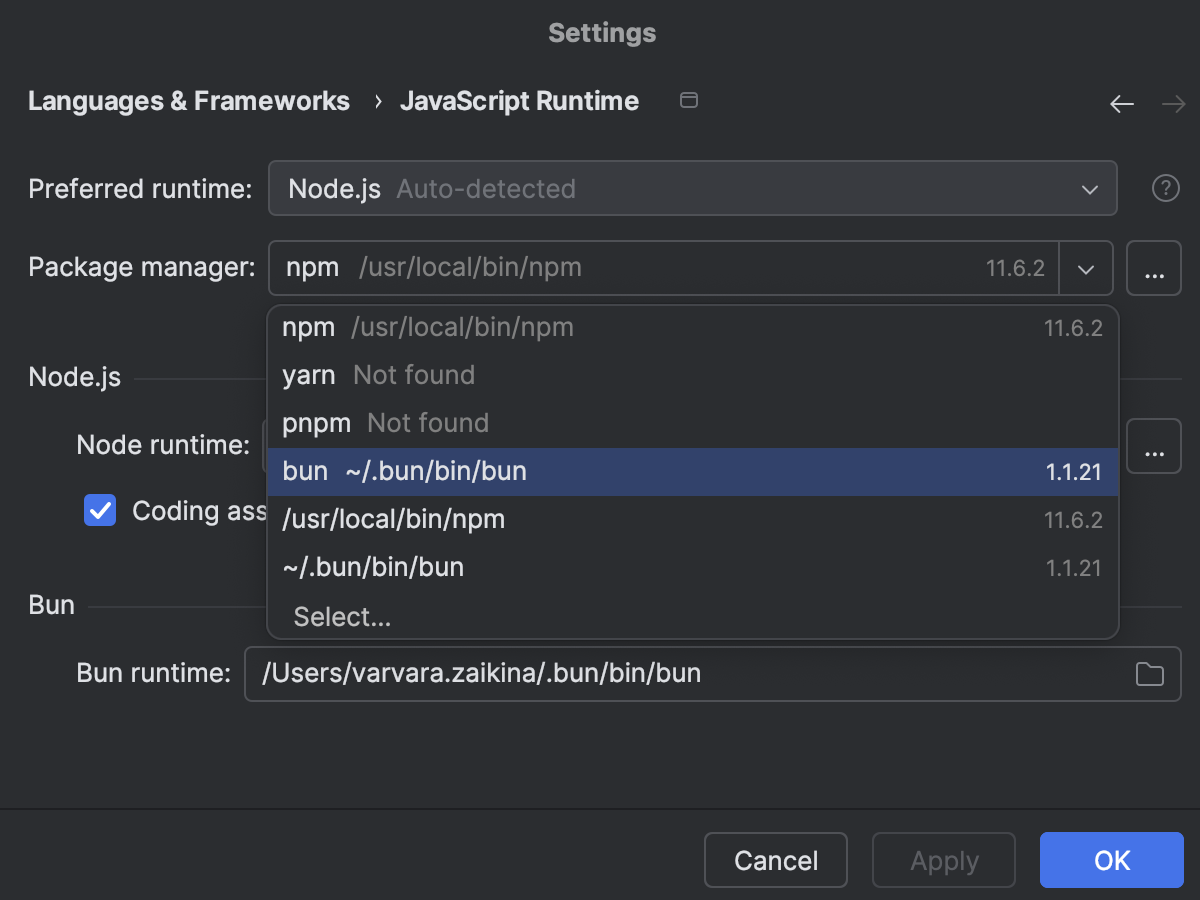 Bun | WebStorm Documentation