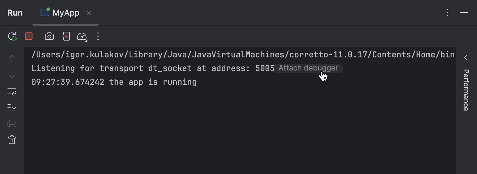 Attach to process | IntelliJ IDEA Documentation