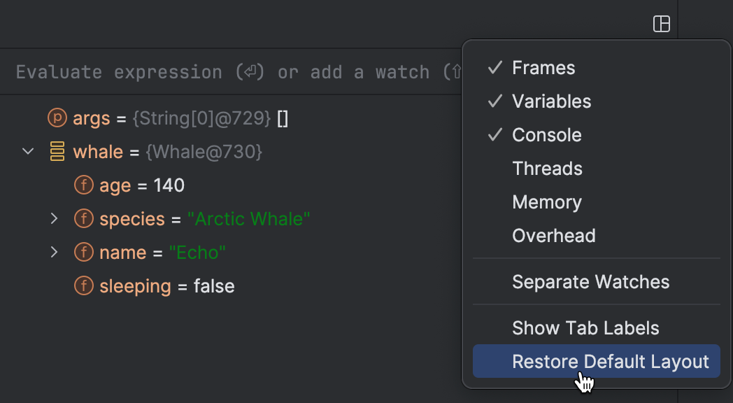 Debug tool window | IntelliJ IDEA Documentation
