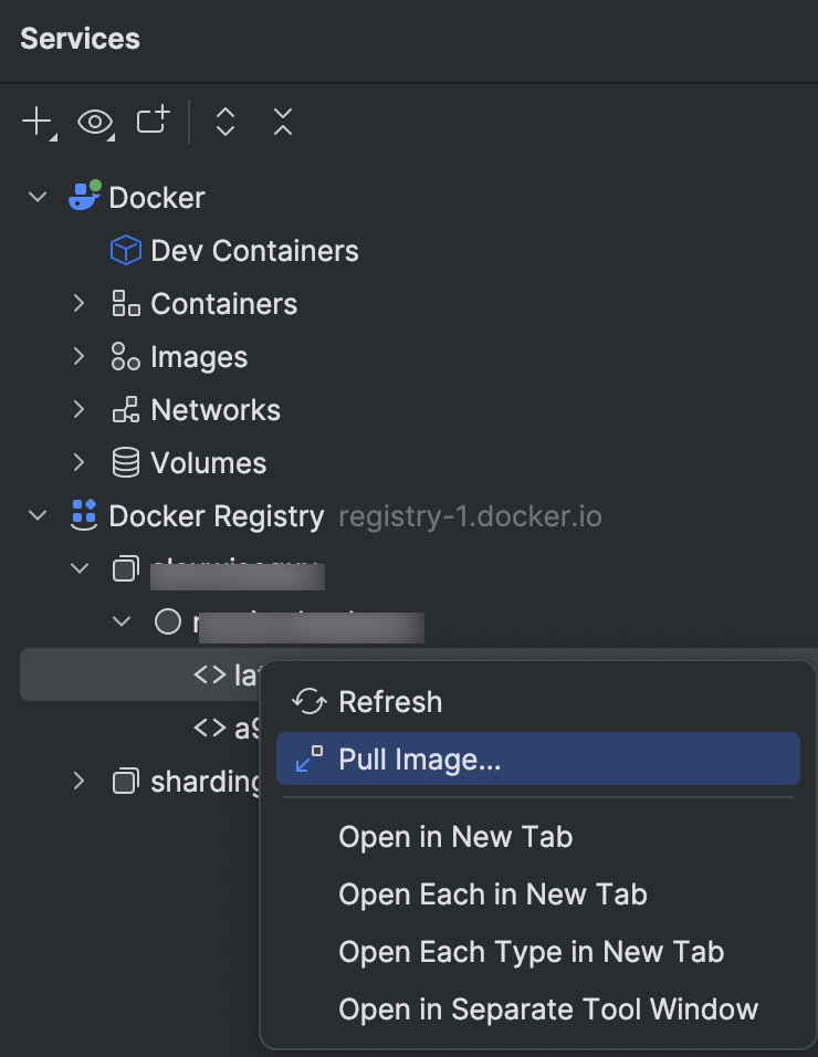Docker 镜像 | IntelliJ IDEA 文档