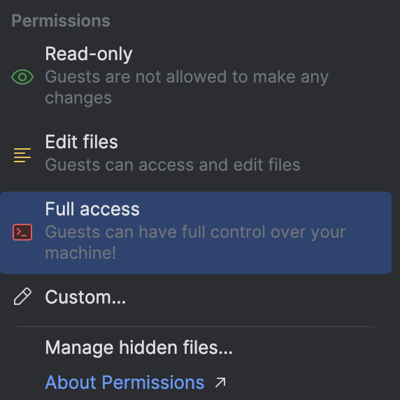 开始使用 Code With Me | IntelliJ IDEA 文档