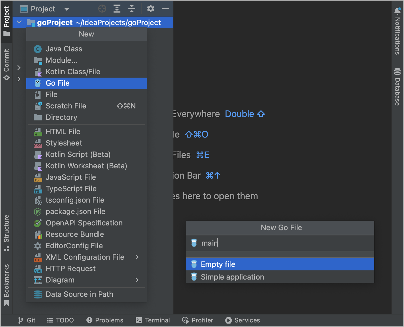 快速入门 Go | IntelliJ IDEA 文档