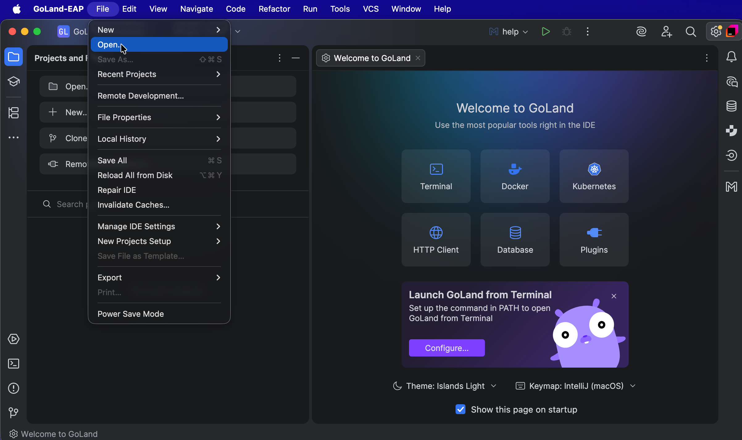 Opening files | GoLand Documentation