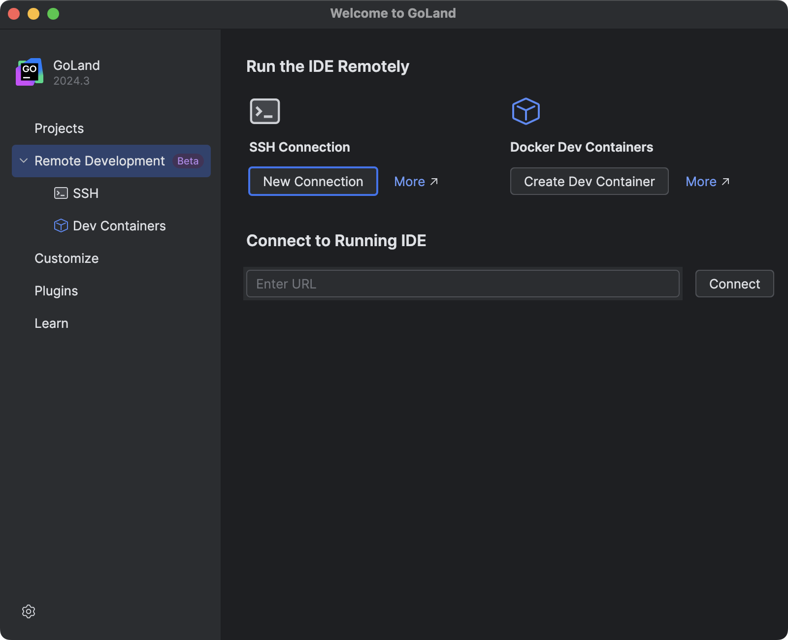 从 GoLand 连接到远程服务器 | GoLand 文档