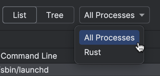 Attach to process | RustRover Documentation