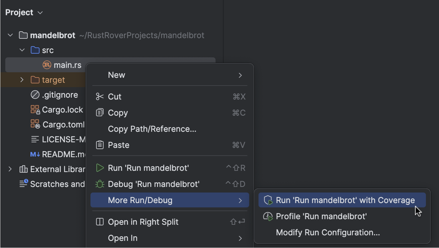 Rust | IntelliJ IDEA 文档