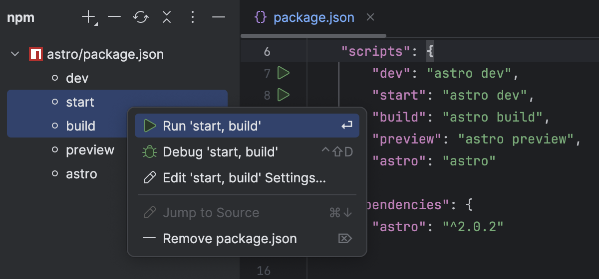 npm、pnpm 和 Yarn | WebStorm 文档