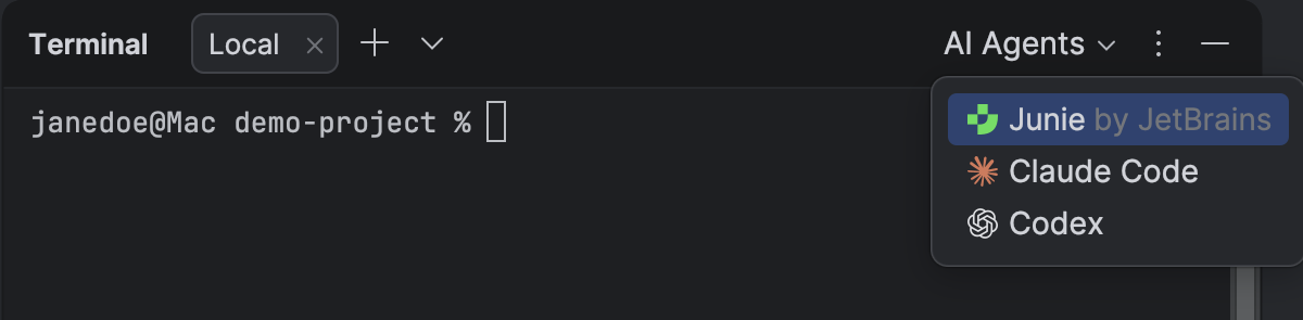 终端 | IntelliJ IDEA 文档
