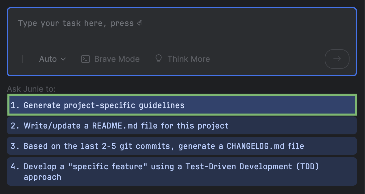 Guidelines | Junie Documentation