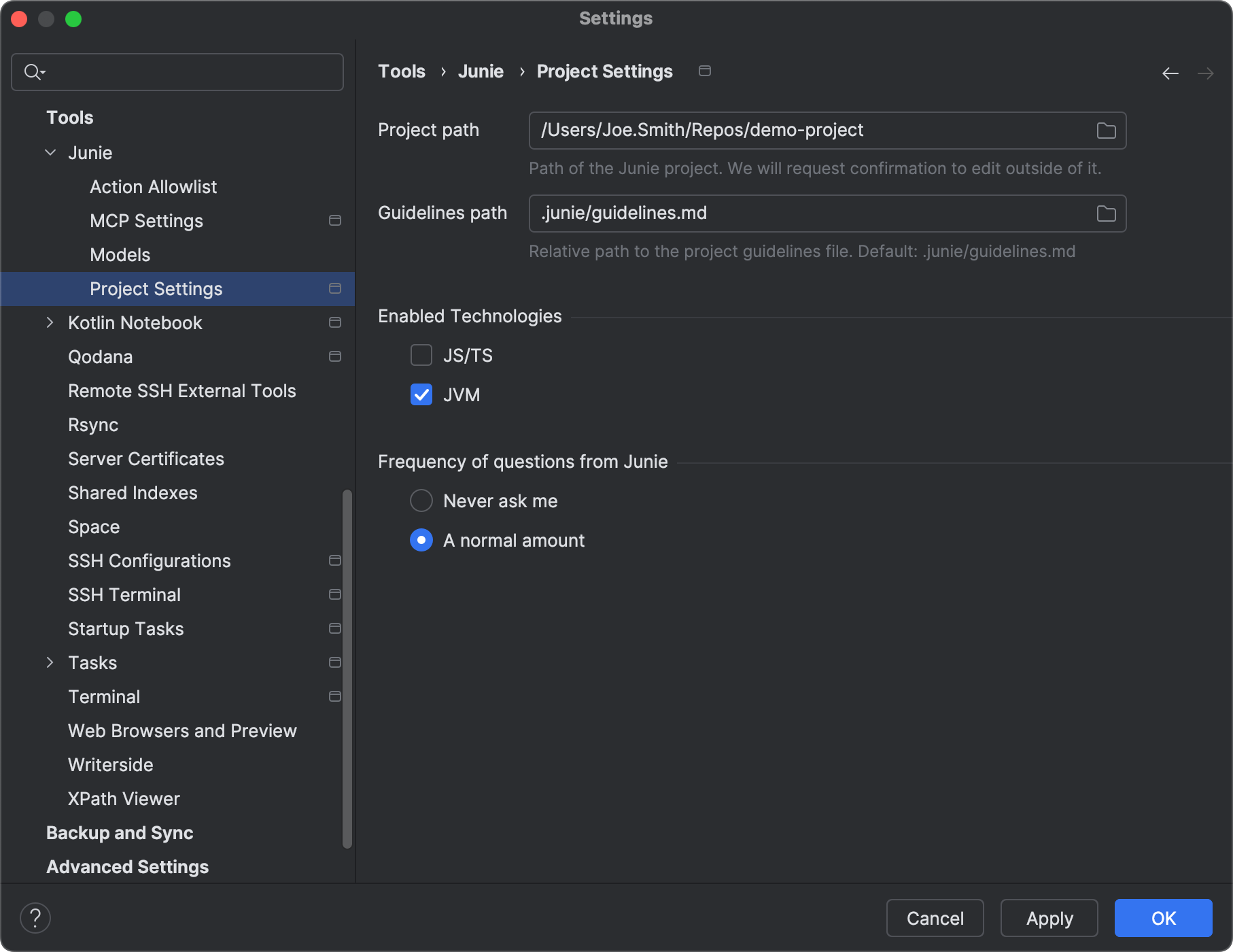 Project Settings | Junie Documentation