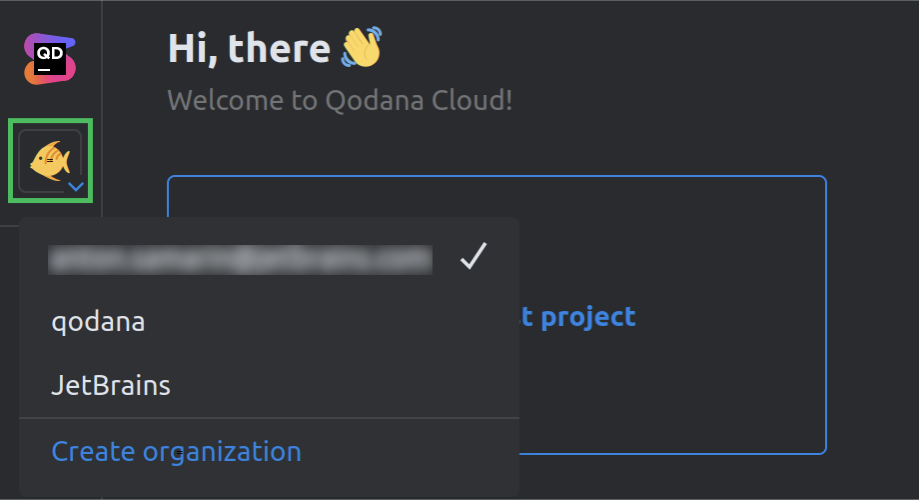 Organizations | Qodana Documentation