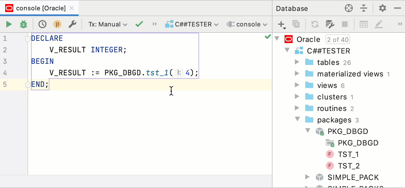 Debug Oracle PL/SQL code | JetBrains Rider