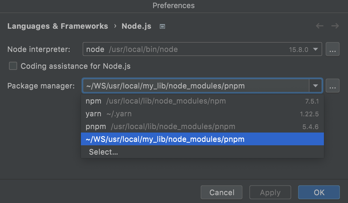npm, pnpm, and Yarn | JetBrains Rider Documentation