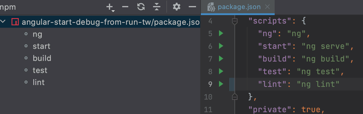 npm, pnpm, and Yarn | JetBrains Rider Documentation