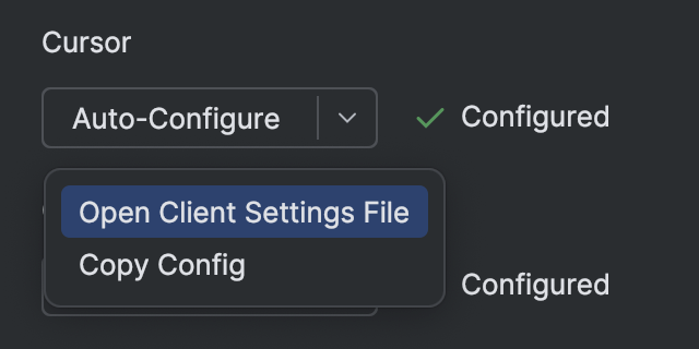 MCP Server | JetBrains Rider Documentation