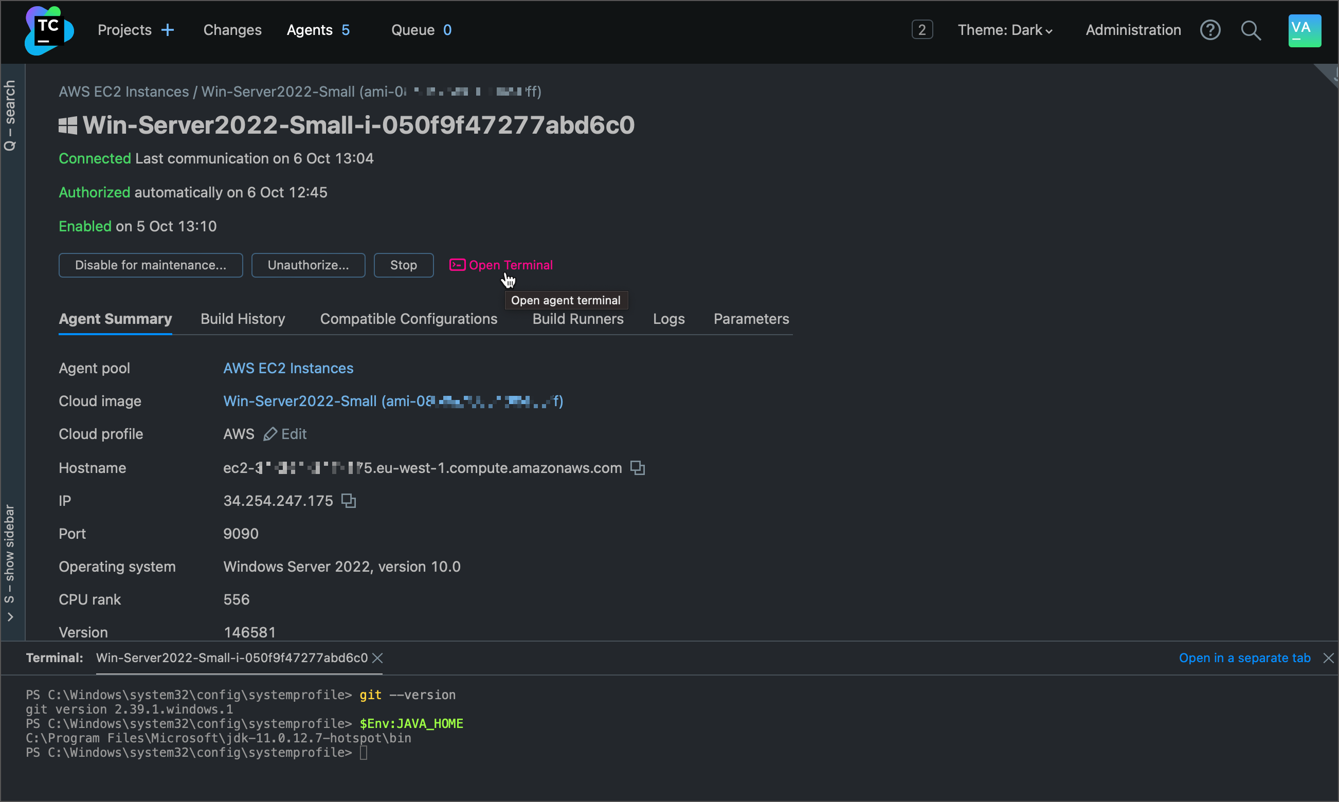Build Agents Configuration and Maintenance | TeamCity On-Premises Documentation