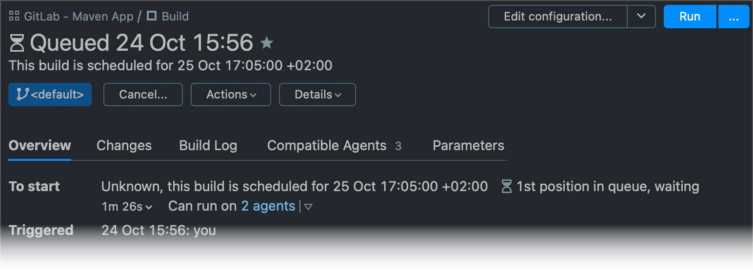 Running Custom Build | TeamCity On-Premises Documentation