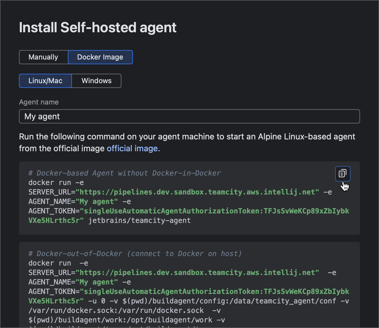Self-Hosted Build Agents | TeamCity Pipelines Documentation